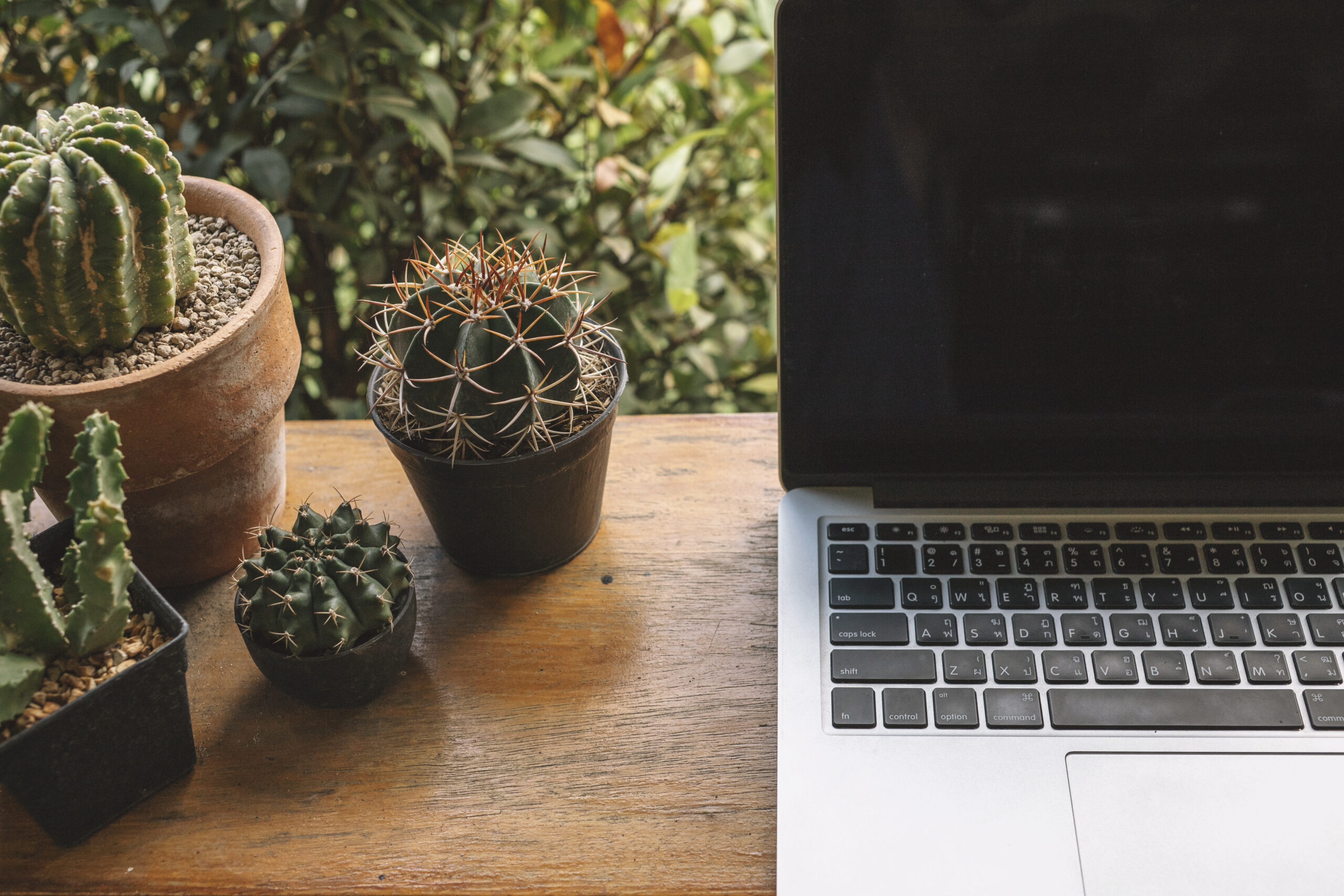 Home - Scribe Cartel